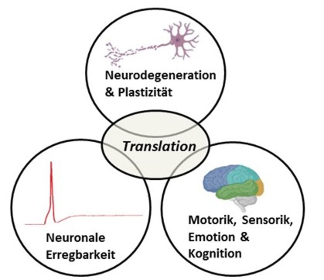 Translational Neurosciences