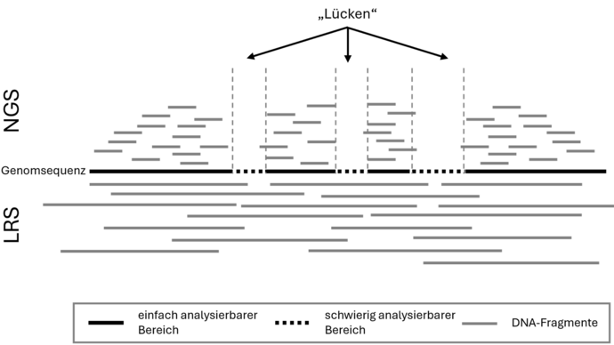 Long-read sequencing; genome sequencing, nanopore sequencing, rare disease