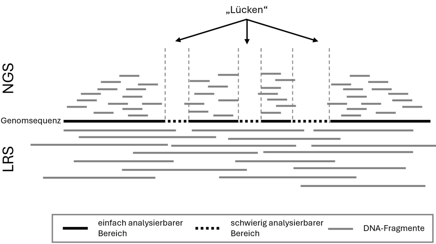 Long-read sequencing; genome sequencing, nanopore sequencing, rare disease