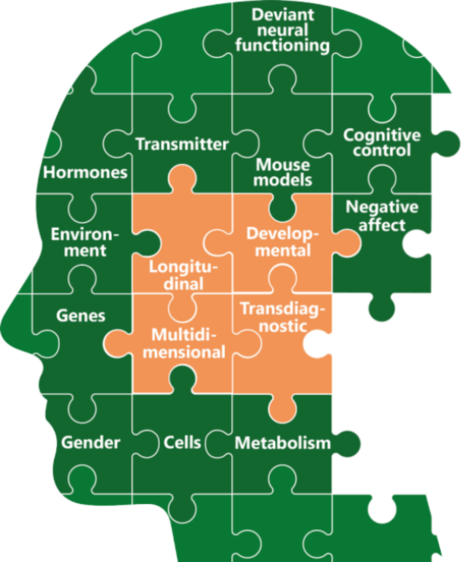 SFB/TRR 379 Die Neuropsychobiologie von Aggression: Ein ...
